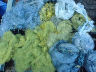 Fat Hen Wild Wool: Woad, wonderful woad... growing and dyeing