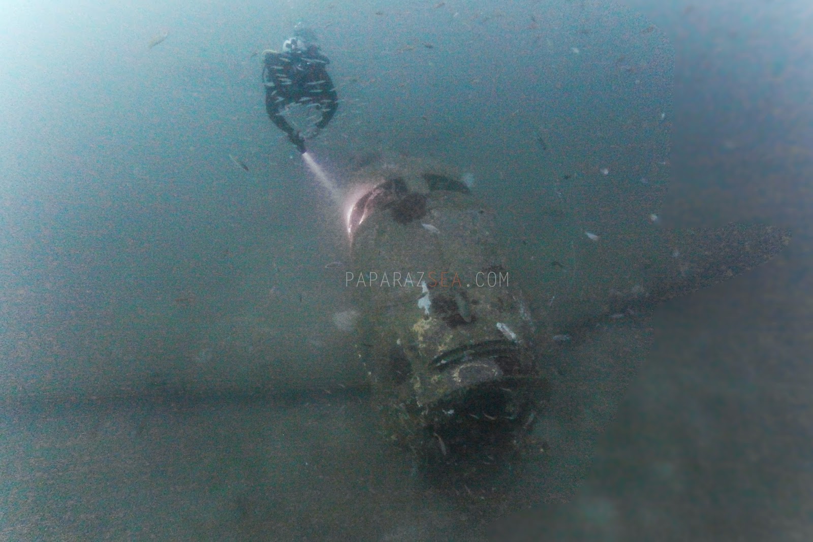 52 years later, Skyraider plane wreck is a delight to dive... its in ...