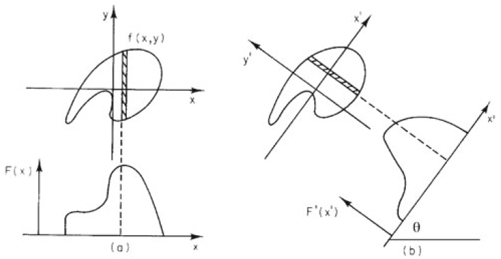 Intermediate Physics for Medicine and Biology: The Central Slice ...