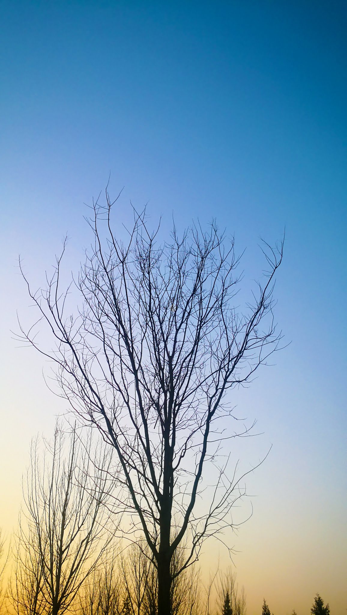 16blue sky sunset photography pictures, come to see our collection - HiArt