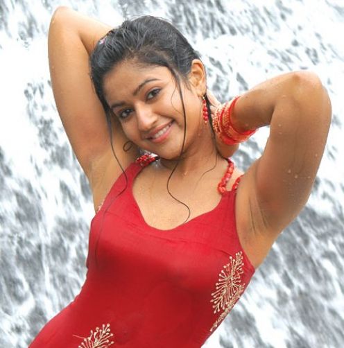 Bollywood Actress South Indian Actress Armpit Masala Hot Hot