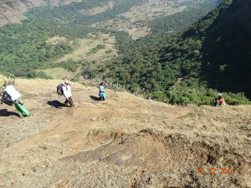 Weekend Nature Explorer: Trek Durg, Dhakoba, Amboli & Darya Ghat