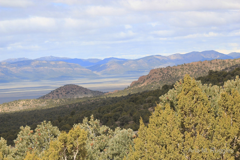 Images Of The Vanishing West: Schellbourne Pass Band Of Wild Horses