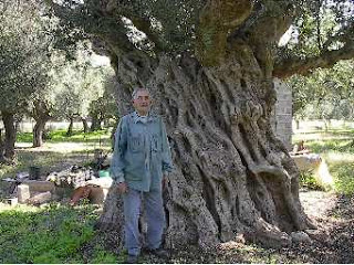 ΓΙΑΝΝΗΣ Δ.ΛΥΡΑΣ: 1929-2002 ΚΑΙΝΟΤΟΜΑ ΕΚΠΑΙΔΕΥΤΙΚΑ ΠΡΟΓΡΑΜΜΑΤΑ