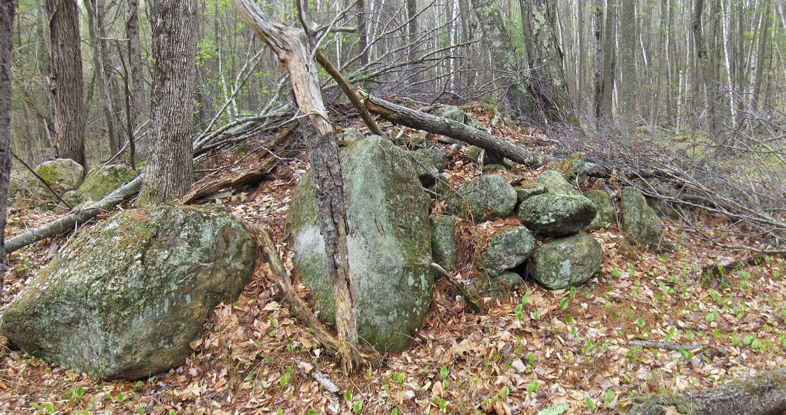 Rock Piles: Foot of Blodgett Hill - Merrimack NH
