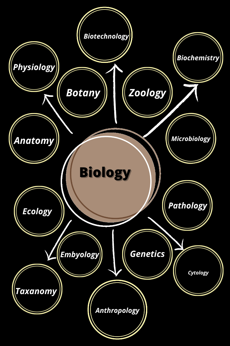 Branches of Biology