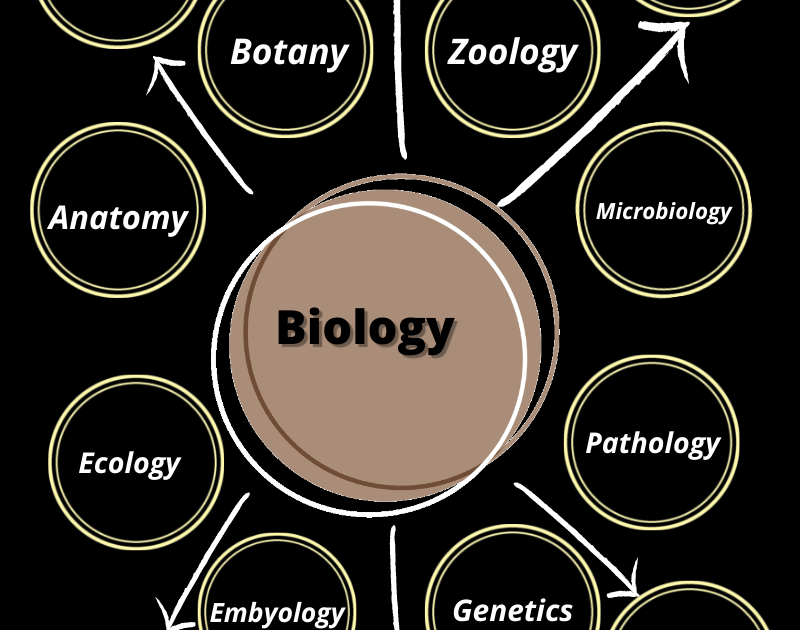 Branches of Biology