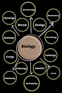 Branches of Biology