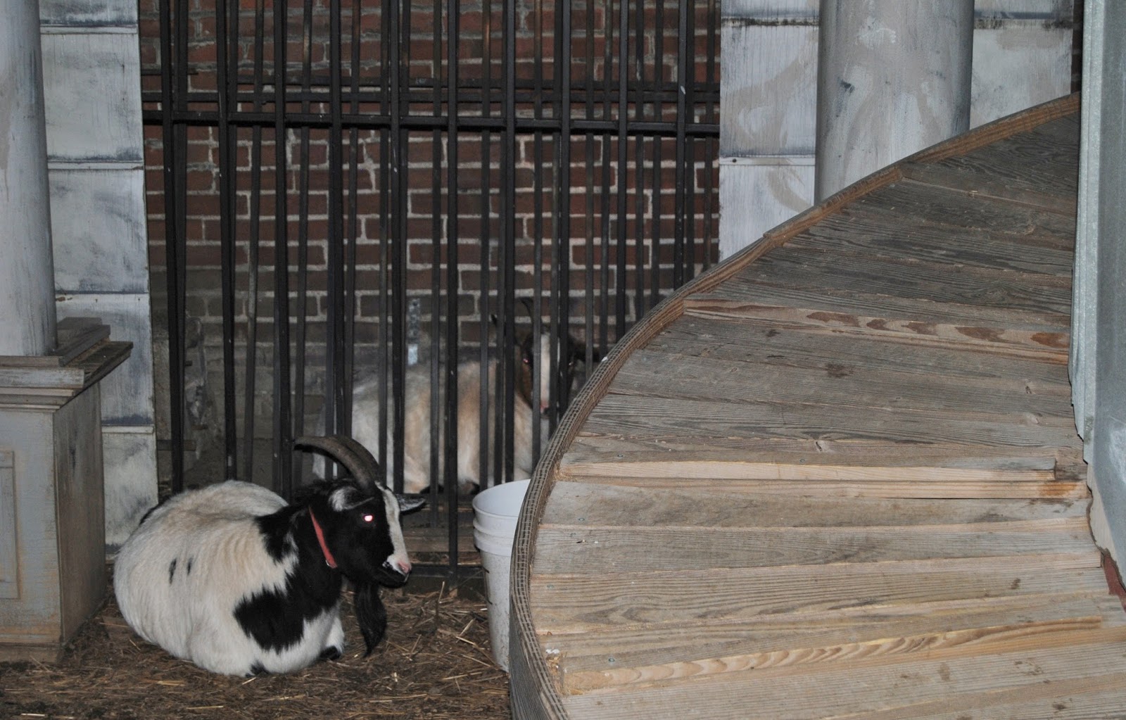 We Live In The Country!: Tennessee: Gatlinburg & Memphis: Moonshine ...