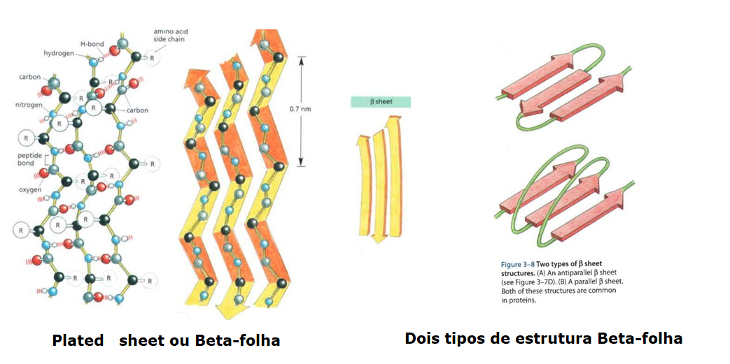 BIOLOGIA PARA A VIDA : janeiro 2021