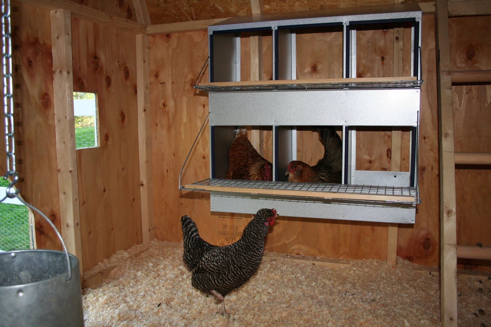Design for chicken nest boxes Must see | Coop Channel