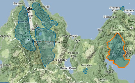 Riszky Nurseno: Morowali Nature Reserve, Central Sulawesi
