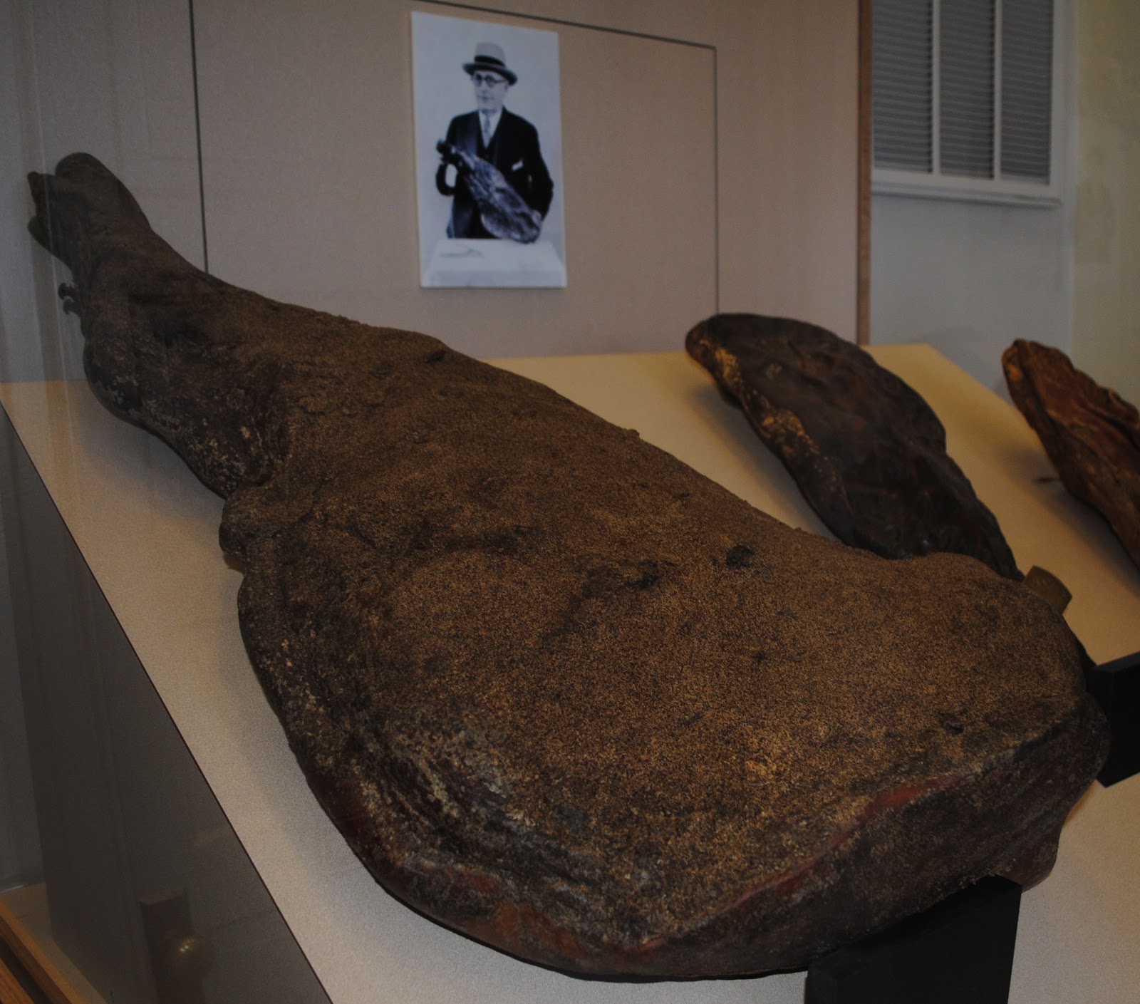 The Carpetbagger: The World's Oldest Ham