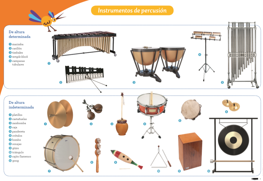Música en el aula: LOS INSTRUMENTOS DE PERCUSIÓN