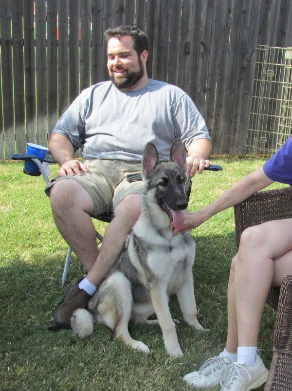 Sparta ISSA Shiloh Shepherds