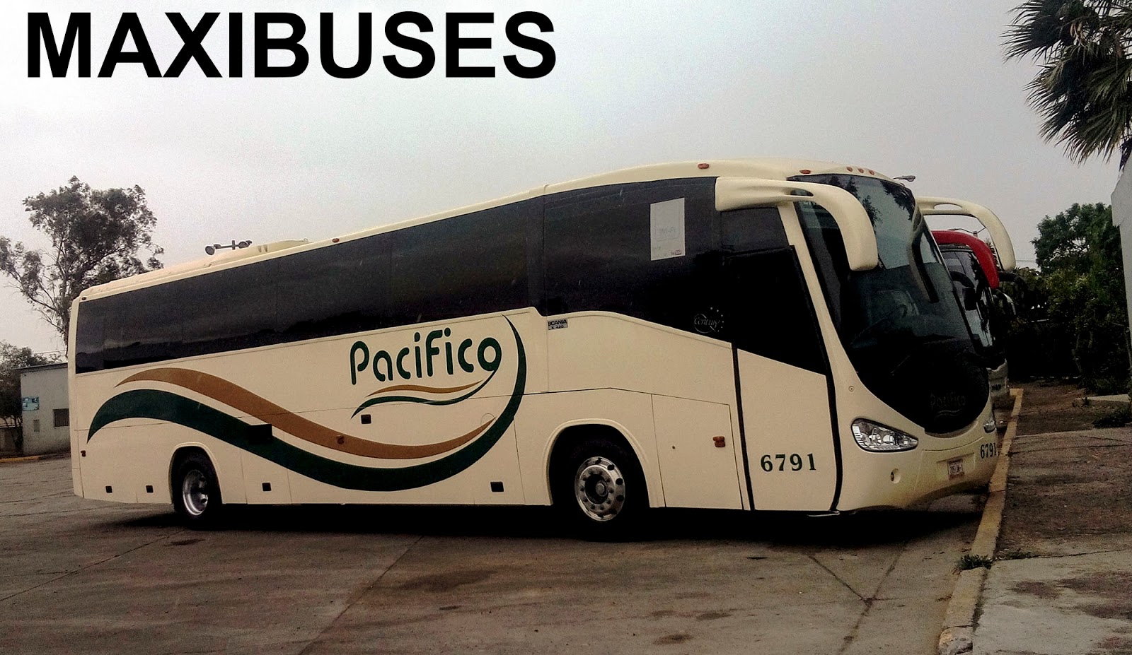 MAXIBUSES: TRANSPORTES DEL PACIFICO