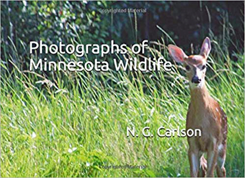 Books For Your Mind: Photographs of Minnesota Wildlife by N. G. Carlson