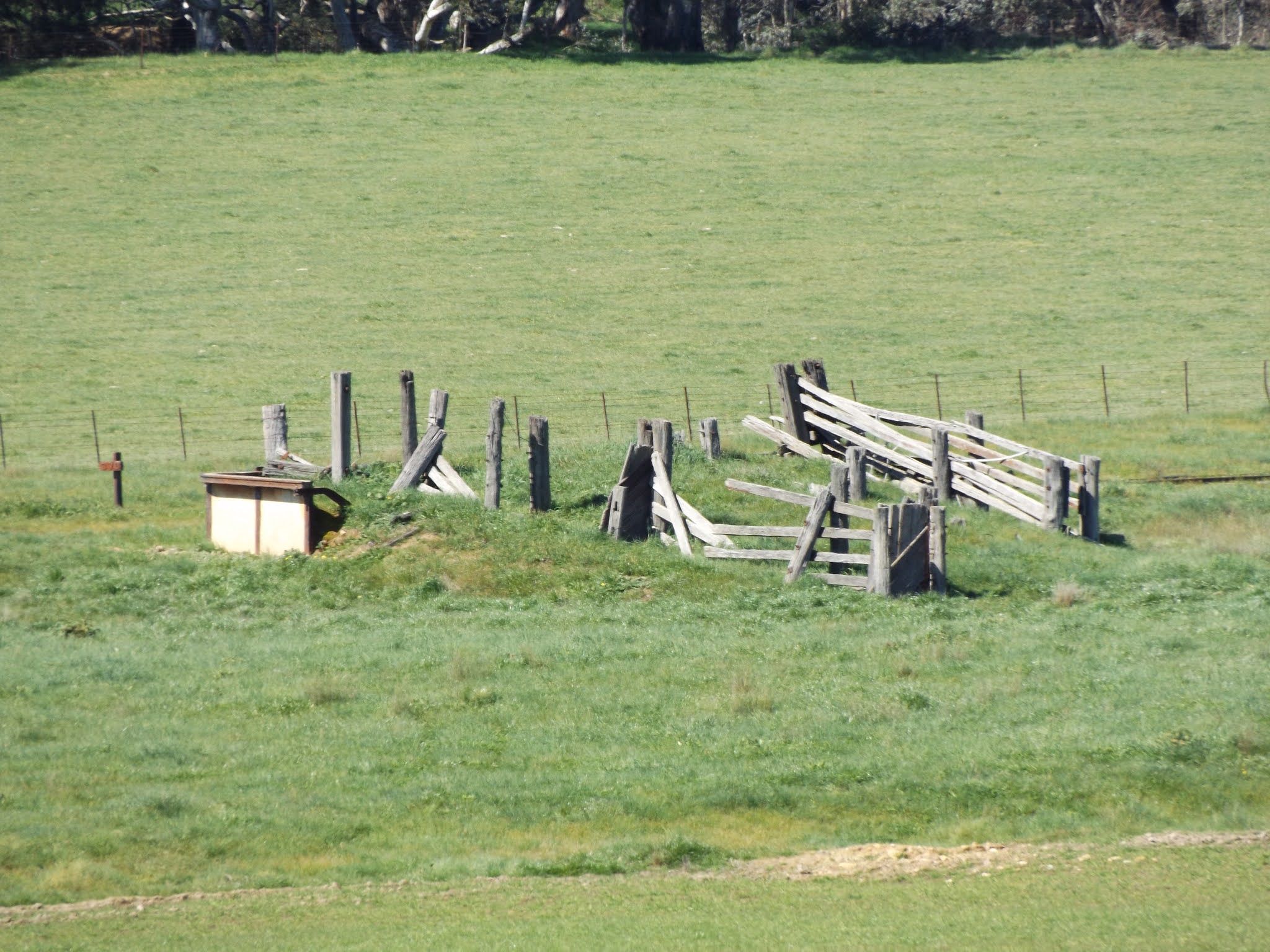 Building Wagga: A visit to Humula