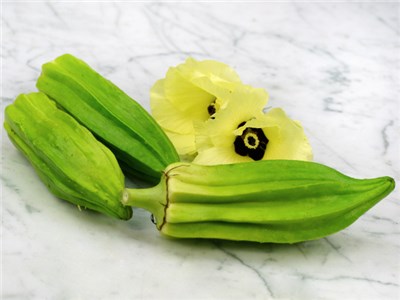 Varieties or Types of Okra - G&D Mega Farm