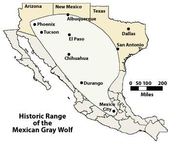 elpasonaturally: Take a stand for wolves in Texas