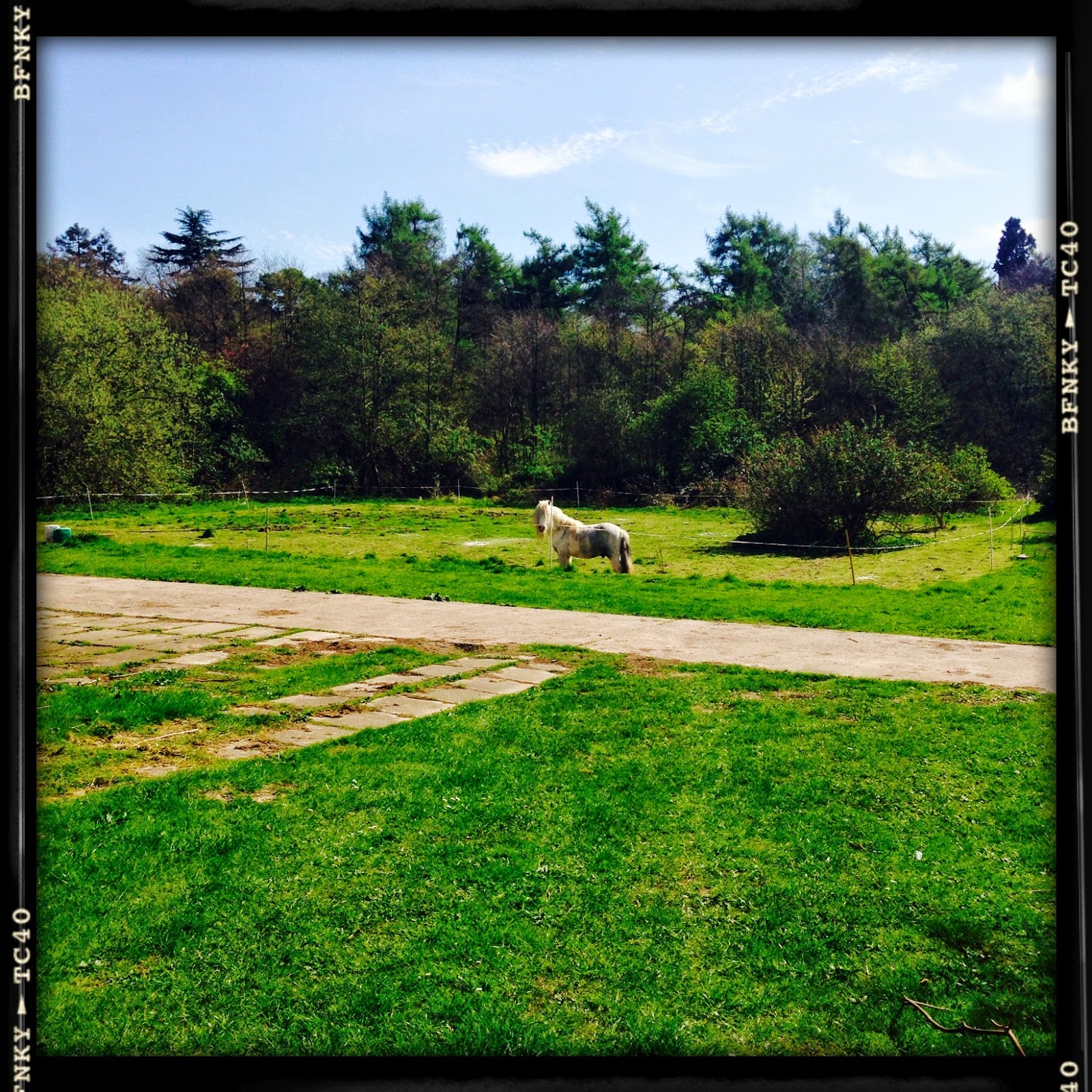 Esoteric Eric: In Accordance with Ordinance : Firbeck Hall, Firbeck ...