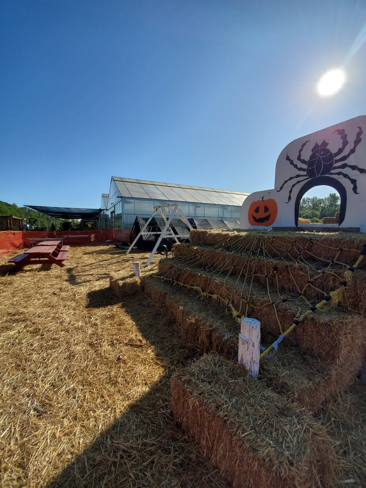 Play St. Louis: Thies Farm, St. Charles