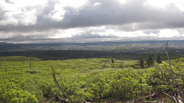 Happy Trails: Good Times on Limbaugh Canyon Trails