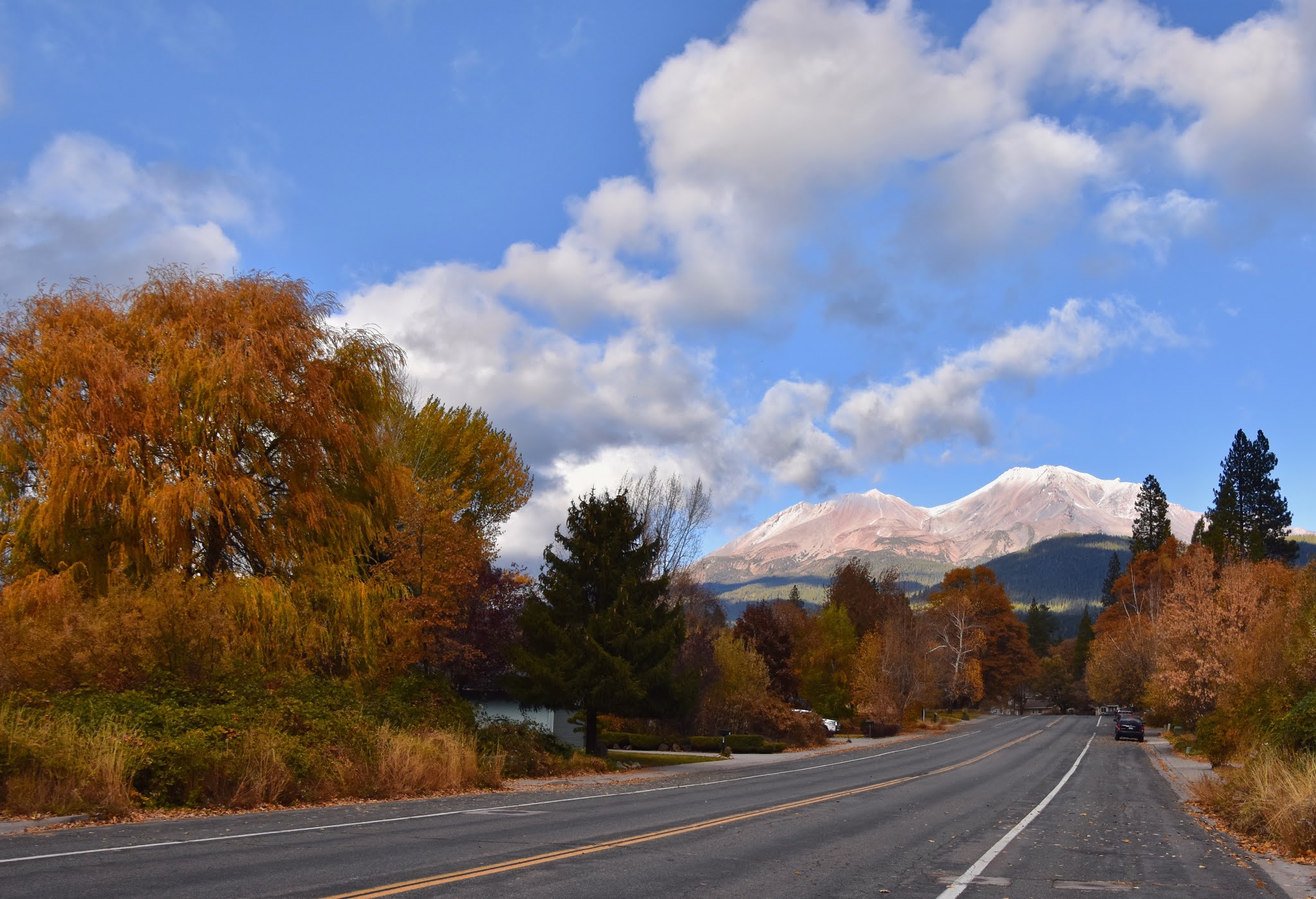 daily timewaster: Road trip to Mount Shasta this afternoon, to see the ...