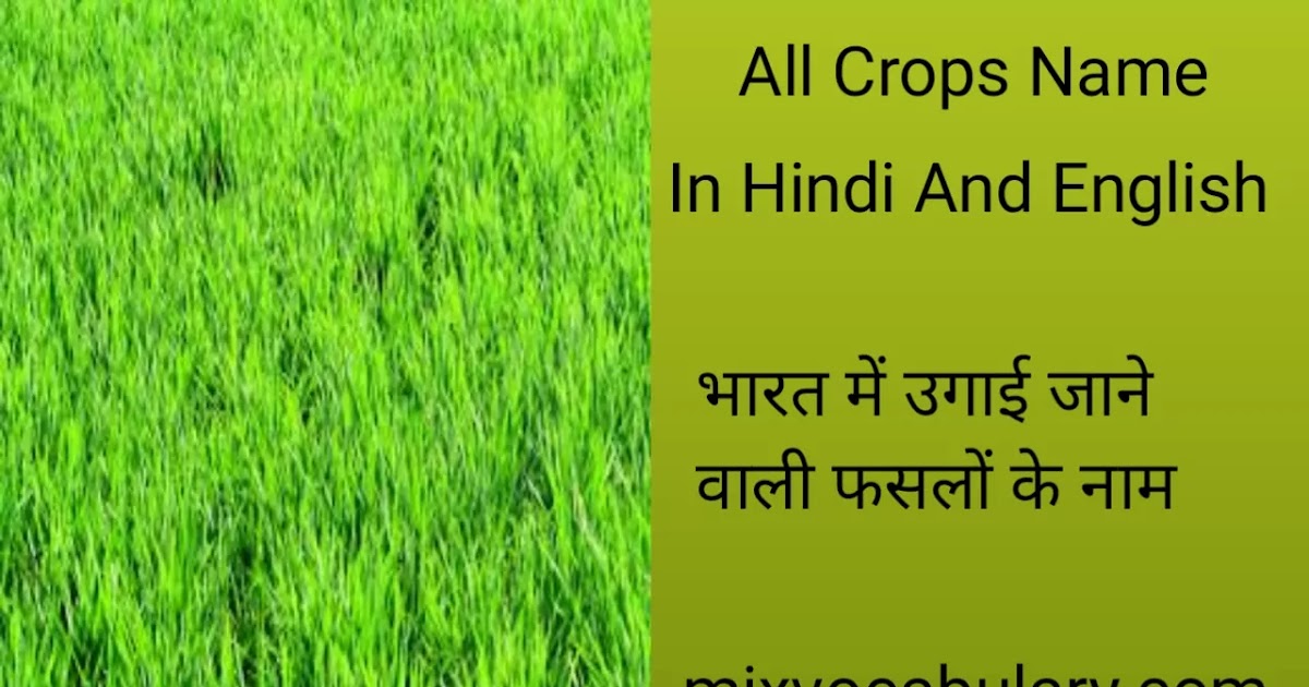 All Type Crops Name List