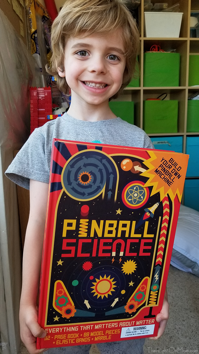 VEGAN Mom Blog - Vegan Kids Food, Lifestyle, Animal Rights: Pinball ...