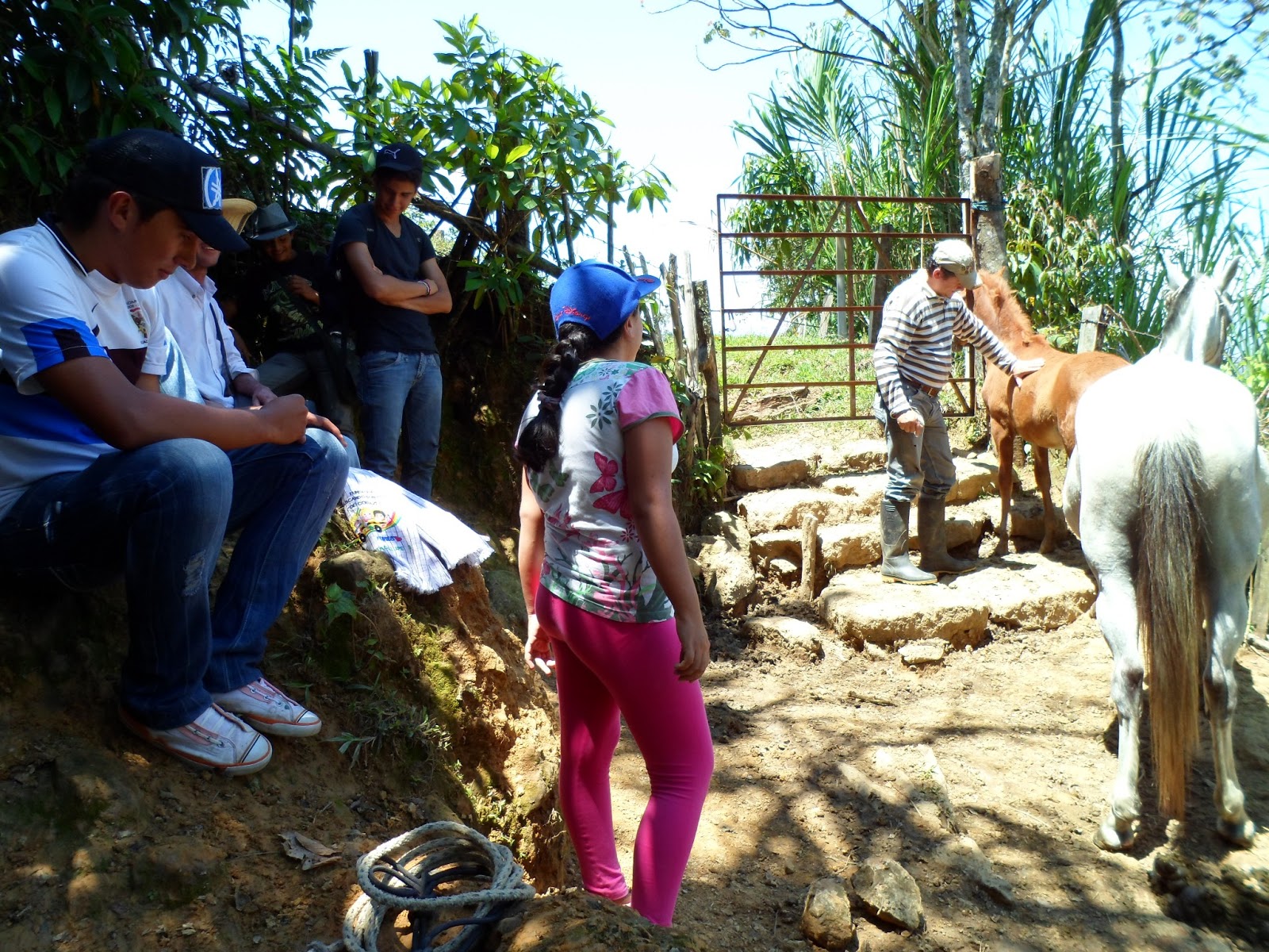 OFERTA TITULADA: IMPORTANCIA DEL MANEJO ANIMAL