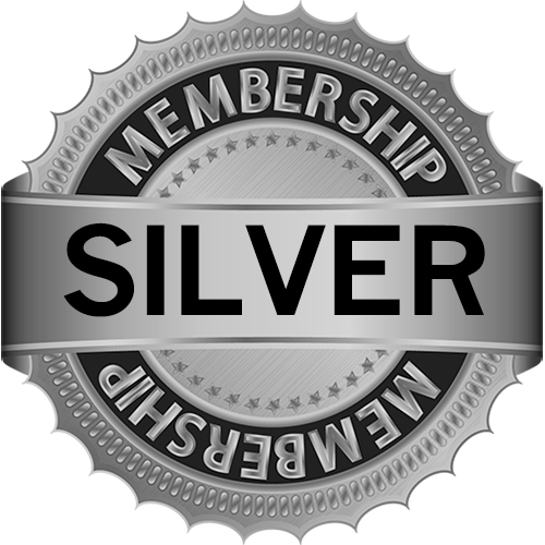 VIP Silver! ~ Brasileiros Vivendo Styloso