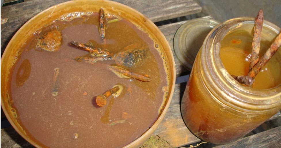 Petua Suburkan Tanaman Dengan Air Rendaman Paku Karat - MY INFO BERITA