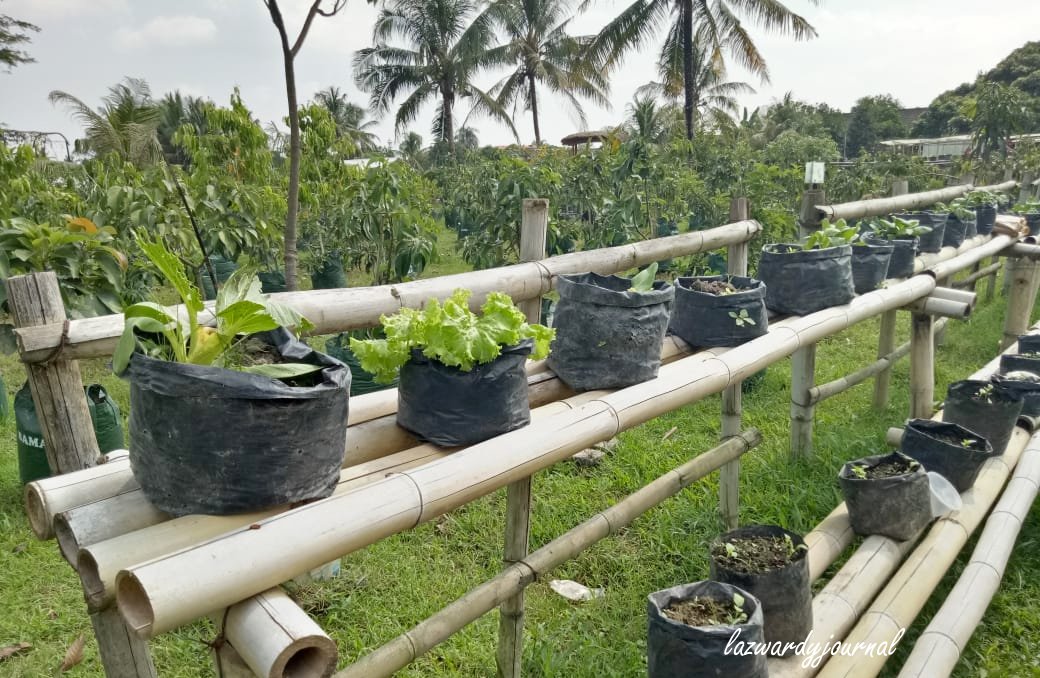 Rasa Gak Mengecewakan : Lesehan Unram Farming Narmada ~ Lazwardy Journal