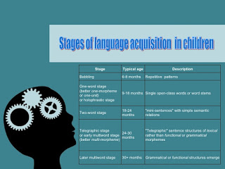 Language Development: Stages in Language Acquisition