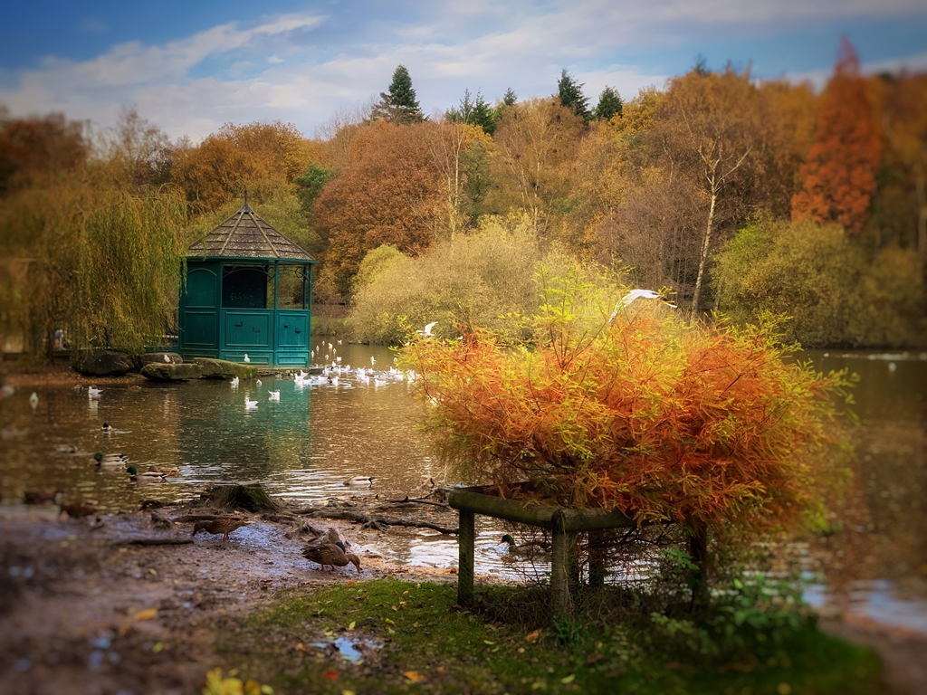 Golden Acre Park, West Leeds, November 2020