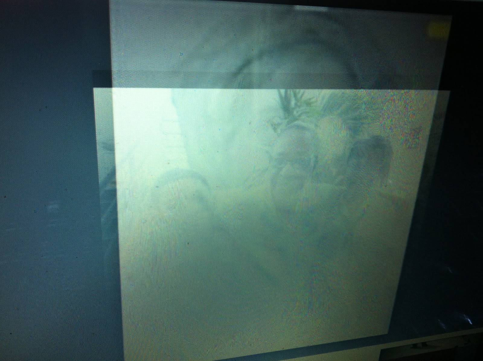 THE BLACK SOCIAL HISTORY:: BLACK SOCIAL HISTORY - AFRO-JAMAICAN ...