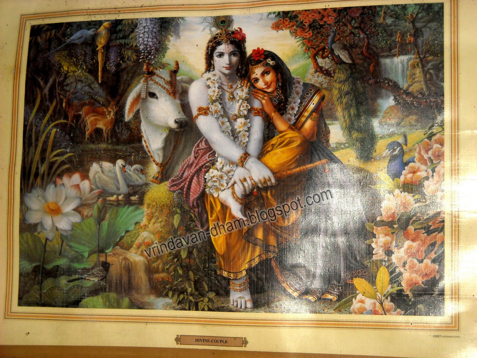 Vrindavan Dham: Pictures | Wallpapers | Photos | Desktop Backgrounds