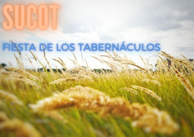 Sucot