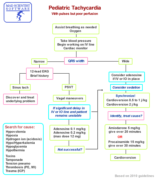 Algoritma ACLS, Advance Cardiac Life Support Algorithm Medical Articles