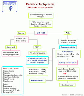 Algoritma ACLS, Advance Cardiac Life Support Algorithm Medical Articles