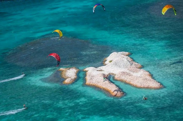 Conch Island — A Huge Cemetery of Millions of Conch Shells