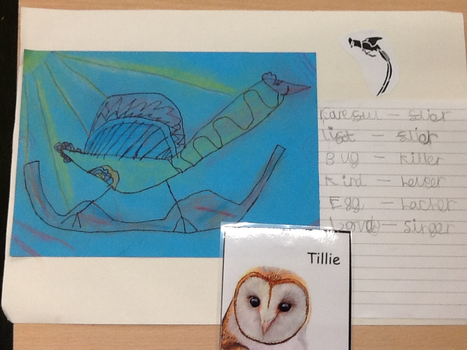 Barn Owls: Kennings poems
