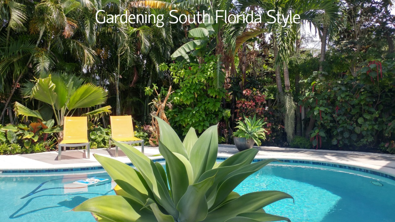 Gardening South Florida Style