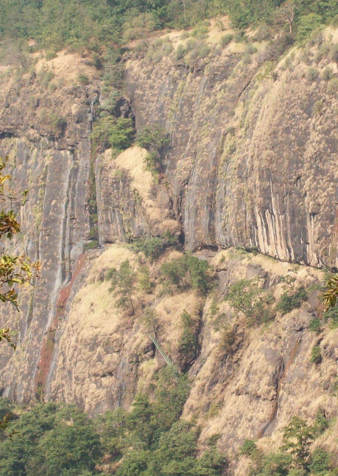 Sahyadri Treks: Bhimashankar via Shidi ghat
