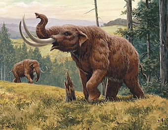 Ann Arbor Mom Blog: Hunting Mastodons at University of Michigan Museum ...