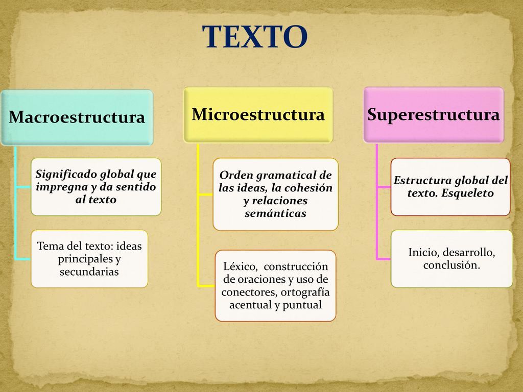 Estructura Textual De Un Texto - Image to u