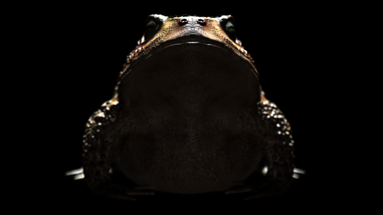 Jonas Engelbrektsson - Art Workshop: 3D artwork