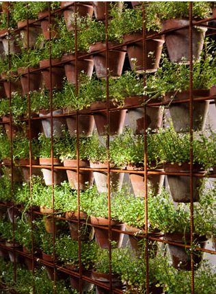Vertical Gardens - Pinterest Gardening