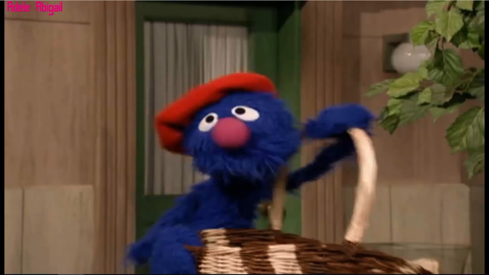 Sesame Street Guide: Sesame Street Episode 4085